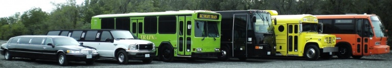 Green Party Bus Rental | KC Night Train